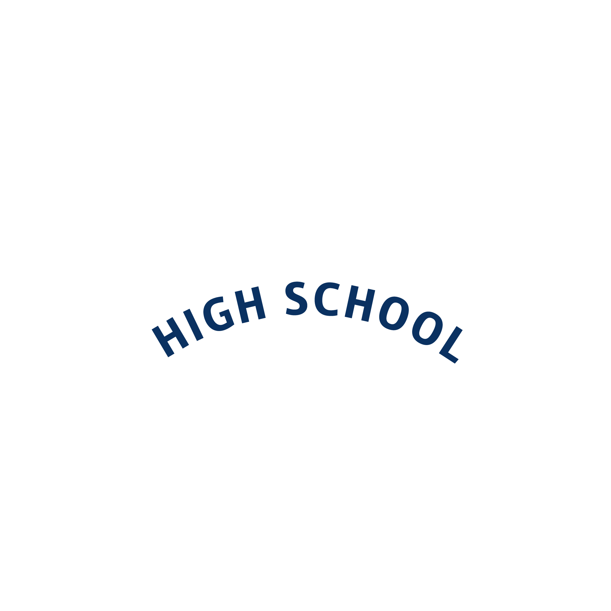 Team Smart American High School